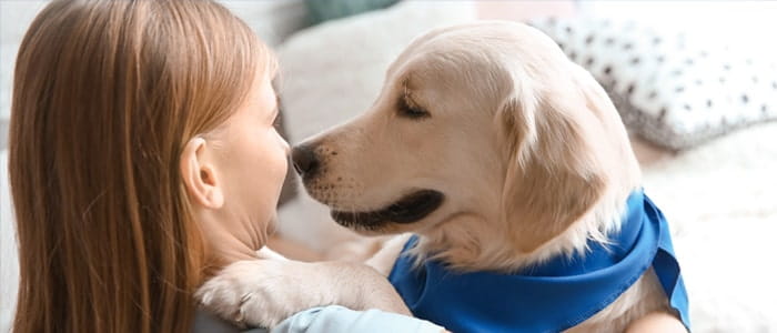 How can dogs help children with autism? | petGuard