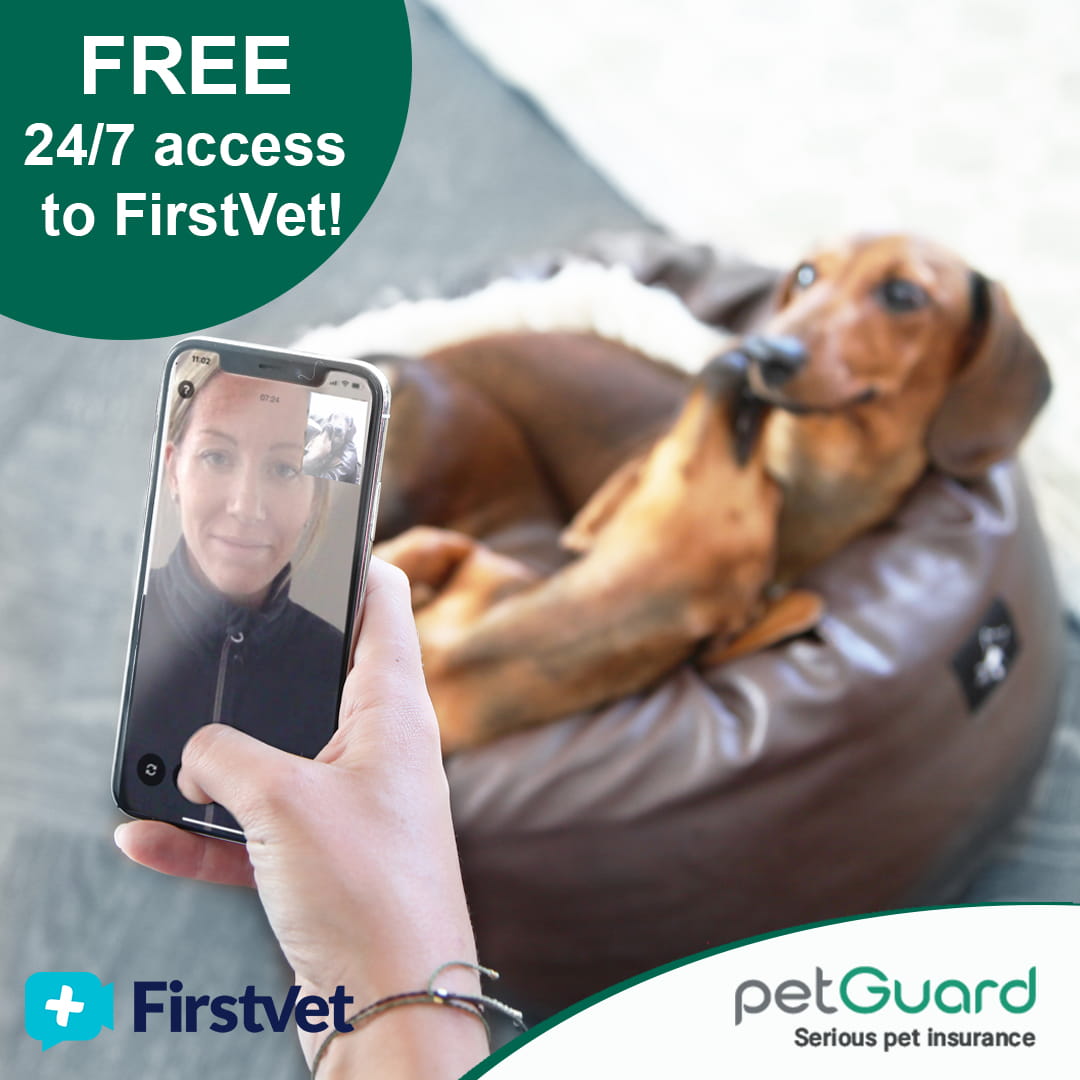 FirstVet | petGuard